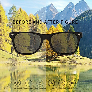 Lxnoap Sunglasses Classic 80’s Vintage Style Design (Black Matte, Smoke)