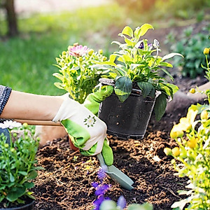 Oubest 50Pcs Clear Nursery Pots Variety Pack Plastic Pots for Plants Orchid Potting 3.5 5 6 Inch Mix Seedling Pots with Drainage Holes Indoor Outdoor Flower Pots