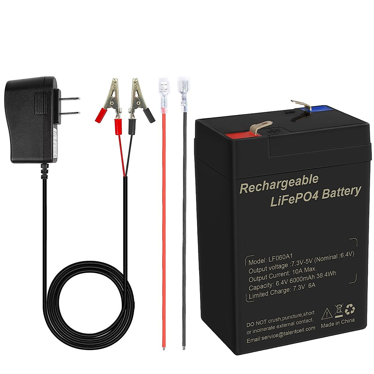 Talentcell 6V 6Ah LiFePO4 Battery Pack LF060A1, 2000 Cycles Rechargeable Lithium Iron Phosphate Battery with Charger