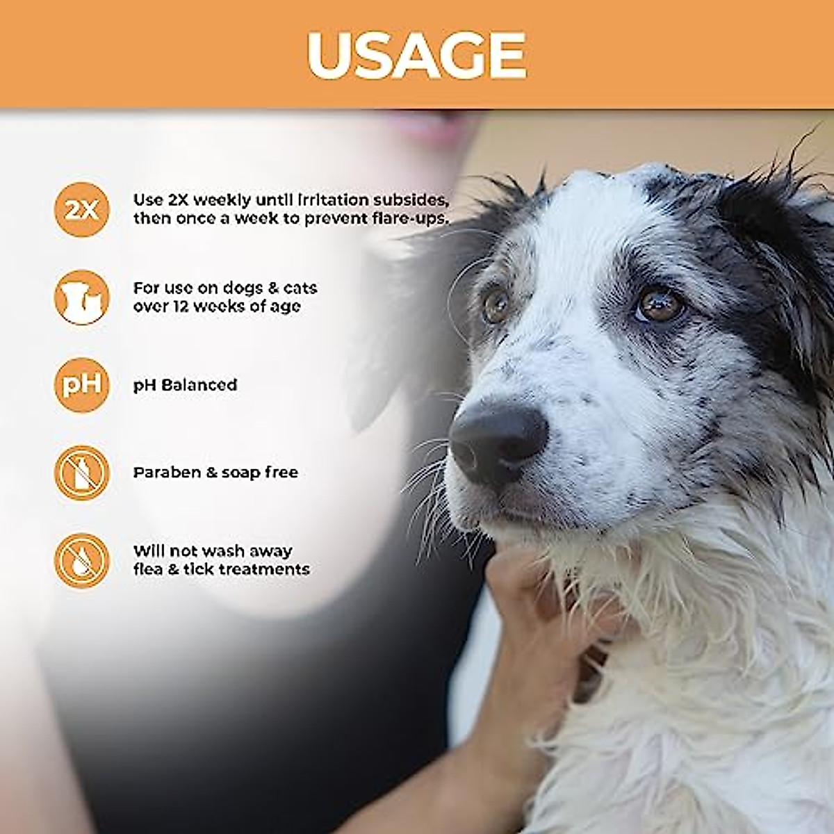 Veterinary Formula Clinical Care Antiseptic and Antifungal Medicated Shampoo for Dogs & Cats, 16oz – Helps Alleviate Scaly, Greasy, red Skin – Paraben, Dye, Soap-Free