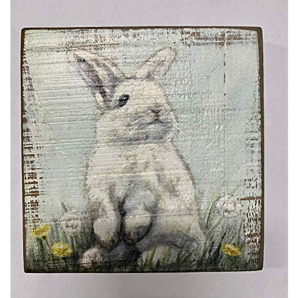 Primitives by Kathy Home Décor Sign With a Bunny in Dandelions: perfect for home, office, housewarming, gift,6" x 6" x 1"