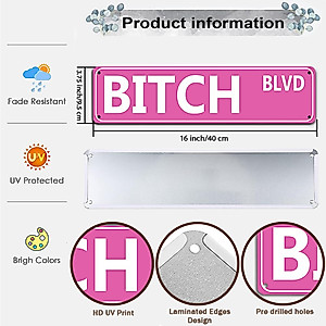 Retro Pink Tin Metal Sign - 'BITCH BLVD' - Bold Statement Decor for Home, Bar, or Dorm - 16x4 Inches - Unique Gift Idea for Friends(B71)
