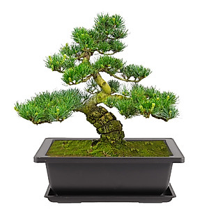 HEIHAK 20 PCS 9 Inch Bonsai Training Pots, Rectangular Bonsai Plants Growing Pot with 20 Humidity Trays and Drainage Built-in Mesh for Garden, Yard, Office, Porch, Balcony, Home Decoration