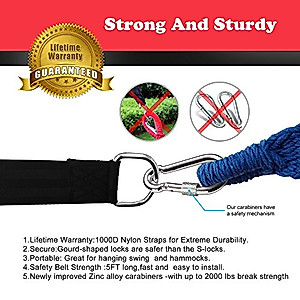 Anti-Broke Tree Swing Hanging Straps Kit Holds 2000 lbs Heavy Duty 5FT Extra Long, 2 PCS Tree Swing Straps Waterproof Straps/ 2 Safer Lock Carabiners/ 1 Bag, for Hammock, Camping, Easy Installation