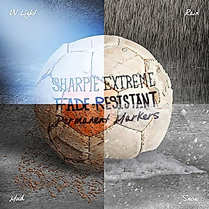 Sharpie Extreme Permanent Markers, 2-Pack, Black (1919845)