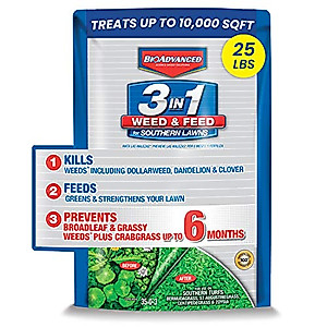 BioAdvanced 3-In-1 Weed and Feed for Southern Lawns, Granules, 25 lb