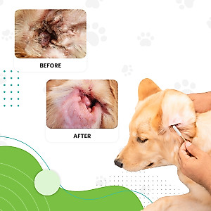 We Love Doodles Dog Ear Cleaning Solution Kit | Prevent Infections | Organic | Made in USA | Ear Drops for Dogs | Itching, Deordoring, Yeast & Mites Infection (Serum + 25 Swabs)