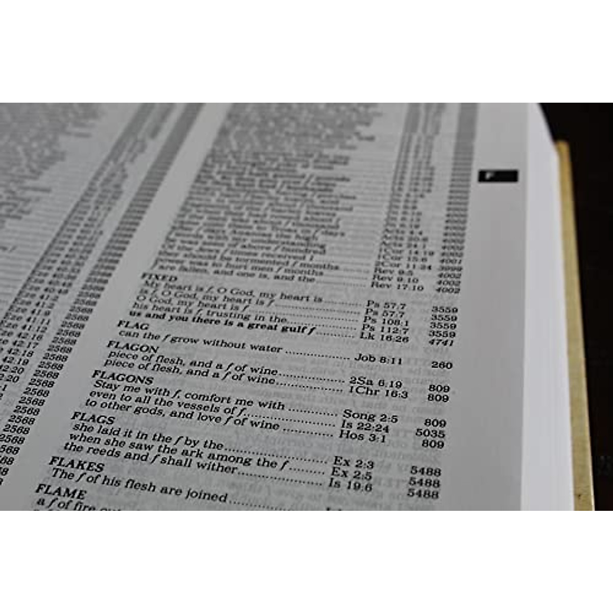 The New Strong's Exhaustive Concordance of the Bible