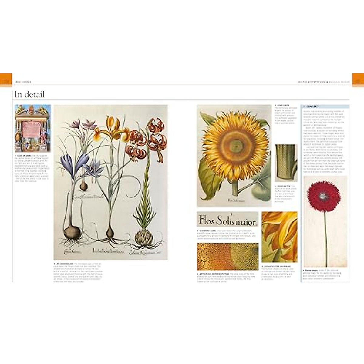 Remarkable Books: The World's Most Historic and Significant Works (DK History Changers)