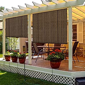 TANG Exterior Roller Shade Blinds Roll up Down Shades for Porch Pergola Balcony Deck Backyard Patio Light Filtering Brown 4’ x 6’ (48’’ x 72’’)