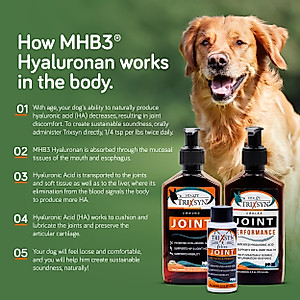 TRIXSYN Canine - All Natural Hip and Joint Care for Dogs- Enhance Joint Mobility and Cartilage Function - Live Healthier and Happier- Patented MHB3 Hylauronan Liquid Formula