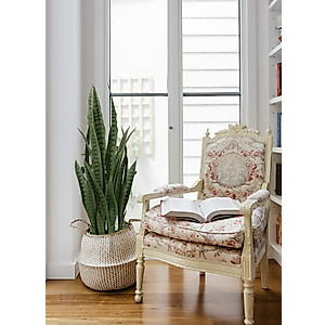 Nevperish Artificial Snake Plant 27 Inches Fake Sansevieria Perfect Faux Agave Desk DIY Plants unpotted for Indoor Outdoor Home Office Decor Garden Modern Decoration Housewarming Gift