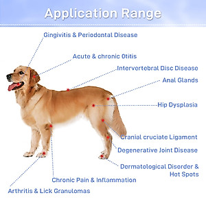 LASWHGDPET Cold Therapy for Dogs - Infrared Red Light Therapy Device with Adjustable Stand, 4X808 nm &14 x650nm Therapy Device for Pain Relief Arthritis, Spinal and Promote Blood Circulation