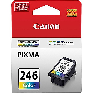 Genuine Canon PG-245 Black Ink Cartridge - 2 Pieces (8279B001) + Canon CL-246 Color Ink Cartridge (8281B001)