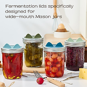 Wingcases Fermentation Lids Silicone Waterless Airlock, Suitable for Wide Mouth Mason Jars - For Making Pickled and Fermented Probiotic Foods, 4 Pack, Morandi Colors