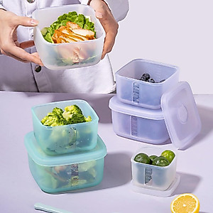 OTB Set of 2 Reusable Silicone Containers Clear, Nesting Leak-free Silicone Food Storage Boxes, BPA Free, Airtight, Dishwasher and Freezer Safe