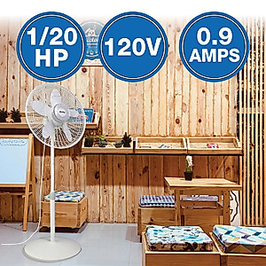 Air King 9119 18-Inch 3-Speed Commercial Grade Adjustable Oscillating Pedestal Fan, 1/20-Horsepower, White