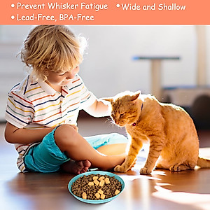 HMDZMR Cat Bowls for Food and Water, 6 inch Whisker Fatigue Free Cat Food Bowl, Unbreakable Wheat Straw Cat Dishes, Environment Friendly Pet Feeding Plate (8 Pcs)