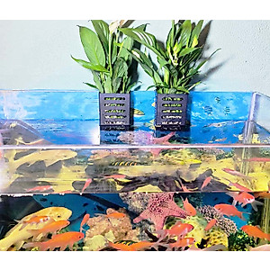 2 PCS Hanging Aquarium Planter Cups, Aquatic Plants Holder, Aquarium Planter Cup, Aquarium Decorations Plants Pot and Fish Tank Plants Pot for Live Aquarium Decor (Black-2 PCS)