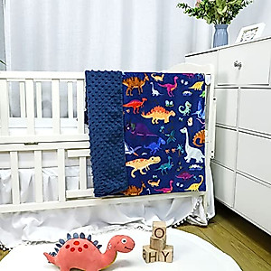 Hooyax Baby Blankets Super Soft Toddler Blanket with Blue Dinosaur Printed Infant Blanket with Dotted Backing 30 x 40 Inch