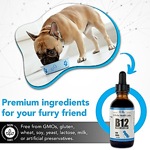 Liquid Vitamin B-12 for Dogs - Methylcobalamin Liquid Supplement for Pets - Dog Vitamins for Medium & Large Breed - Pet Vitamins and Supplements - Dog Multivitamins Liquid