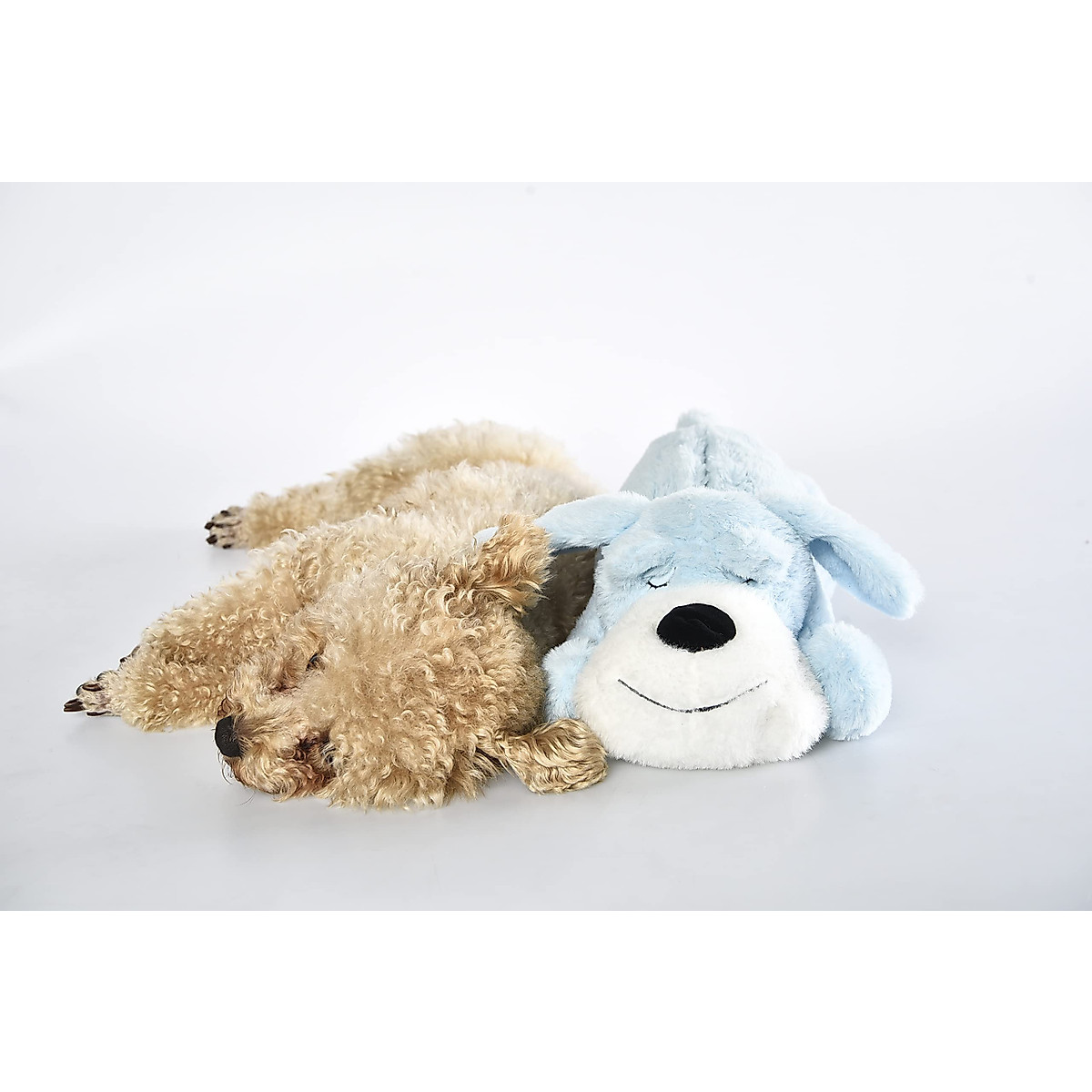 PetMedics 5-in-1 Calming Behavioral Stuffed Dog Toy: Heartbeat, Soothing Sounds, Heating Pads, Lavender Scent - Anxiety Relief, Crate Training - Ideal for Moderate & Soft Chewing Dogs & Puppies