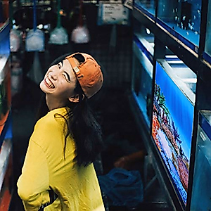 balacoo Fish Tank Background Fish Tank 10 Gallon Aquarium Background Sticker 3D Double- Sided Durable Wallpaper Fish Tank Backdrop Decorative Pictures 3D Aquarium Background 3D Aquarium Background