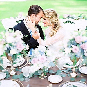 mwellewm Charger Plates Set of 12 and 24 Pack Napkin Rings, Acrylic Gold Beaded Clear 13 Inch Chargers for Dinner Serving Plates Decor Wedding, Party, Decoration