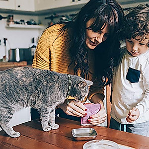 MJIYA Cat Collar with Bell, Breakaway Grid Collar with Plastic Buckle, Light Adjustable, Nylon, Kitty Collars (Black, M)