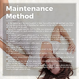 WL&ALLEN Large Sheepskin Rug Genuine Thick and Lush 3 Inch Pile，Luxury Australian Pelts |Large Sheepskin Wool Area Rugs (Large Single Pelt 2'6" x 3'7"，Light Brown)…