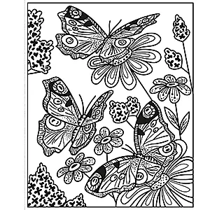 Magic Painting Butterflies (Magic Painting Books)