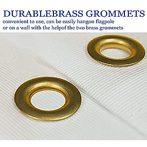 Ukrainian Flag 3x5 Outdoor Indoor Double Sided Heavy Duty 3 Ply 200D Polyester and Durable Canvas Header with 2 Brass Grommets