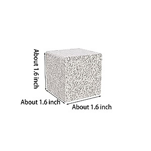 WANBAO 1.6 Inch Hamster Molar Lava Block, Small Animal Teeth Grinding Lava Block, for Rabbits, Parrots Etc 12 Pcs