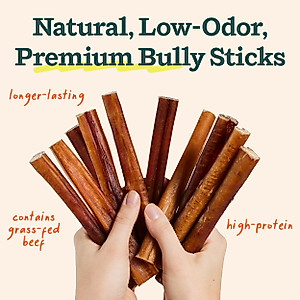 WOOF BullySafe and Bully Sticks - Nutritious Chew Sticks for Dogs and Bully Stick Holder for Safe, Long-Lasting Play -No More Swallowed Ends - 6" Sticks - 5 Pack