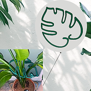 Monstera Leaf Plant Support | Unique & Aesthetic Monstera Plant Support | Keeps Plants Tame & Growing Vertical | Made in USA (Green)