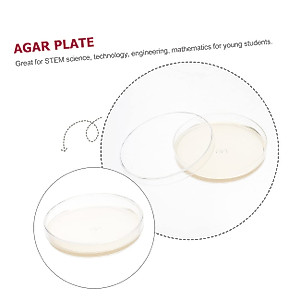 30 Pcs Nutrient Agar Plate Agar Petri Dishes for Mushrooms Tissue Culture Agar Plates Agar Plates for Experiment Dish Lab Dishes Kid Stuff Finished Product Child Specimen
