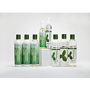 EDEN BodyWorks Peppermint Tea Tree Clear Clarifying Shampoo for Oily Hair, Dry Hair, Curly Hair - Scalp Cleansing Shampoo for Build Up & Dandruff - Paraben & Sulfate Free - 8 oz.