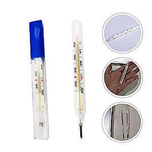 Healifty 2Pcs Mercury General Use Temperature Testing Tools