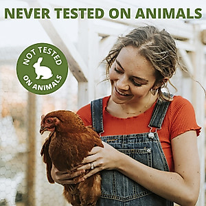 Plackers EcoChoice Compostable Dental Flossers, Sustainably Sourced, BPA Free, Recyclable Packaging, Natural Mint Flavor 50 Count (Pack of 6)