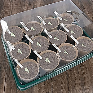 50 Pcs Peat Pots, Biodegradable Eco-Friendly Plant Seedling Starters Kit, Seed Germination Trays with 10 Plant Markers for Vegetable Tomato Saplings & Herb Seed Germination