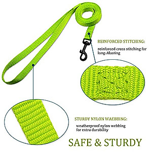DOYOO 2 Pack Puppy Dog Leash Cat Leash, Strong and Durable Leash with Easy to Use Collar Hook - Dog Leashes for Cat with Collapsible Pet Bowl Great for Small and Medium Dog (Set 3-Black+Green)