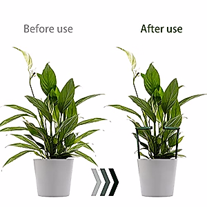 12 Pack Plant Support Plant Stakes with 24 Pcs Plant Clips, Half Round Plant Support Ring Plastic Plant Cage Holder Flower Pot Climbing Trellis for Small Plant Flower Vegetable,Indoor Plants