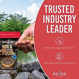 Blue Ridge Koi Fish Food 2lb - Koi Food Mini Growth Formula Goldfish Food, Premium Fish Food for Ponds, Ponds Fish Food, Koi Food Fall and Winter Fish Food, Floating Pond Pellets Fish Food