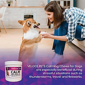 Veloce Pets Calming Chews for Dogs Anxiety- Separation Anxiety Relief Treats for Dogs with Inositol, Taurine & Theanine Relief for Fireworks, Travel and Thunderstorms 60 Count