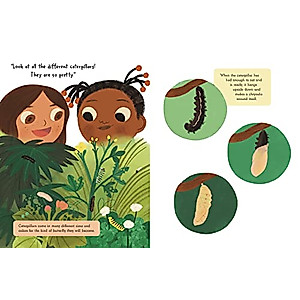The Story of a Butterfly: Learn about the life cycle and habitat of the Painted Lady