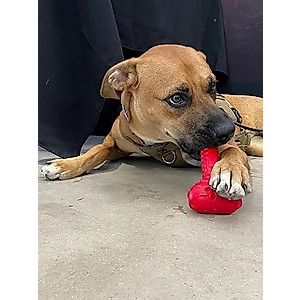 Jersey Dog Co. Chompi Bone Dog Toy, Chew Bone, Made in USA