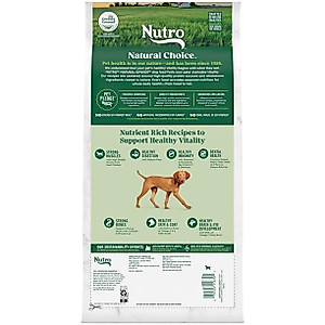 Puppy Dry Dog Food, Chicken and Brown Rice Recipe, 5 Lbs, Made with The Finest Ingredients from Around The World