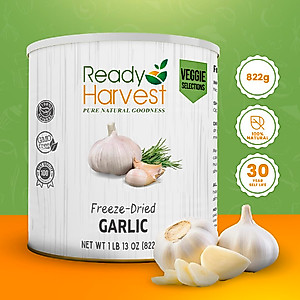 Ready Harvest Freeze-Dried Garlic for Camping Food | Camper Must-Haves Camping Essentials | Hurricane Preparedness Items as Survival Food | Pantry Staples | #10 Can | 25-Year Shelf Life | 6 cans