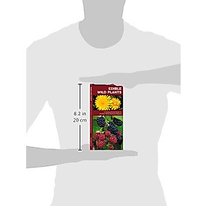 Edible Wild Plants: A Folding Pocket Guide to Familiar North American Species (Nature Observation North America)