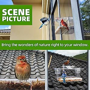 WENMIXER Window Bird Feeder with Non-Marking Self-Adhesive Hooks, Clear Window Bird Feeder for Outside, Transparent Bird House, Outdoor Bird Feeders, Wild Bird Watching Gift, Garden Decor